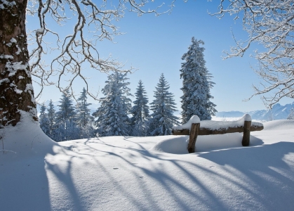 ბოლო 100 წლის მანძილზე ევროპაში წელს ყველაზე ცივი ზამთარი იქნება