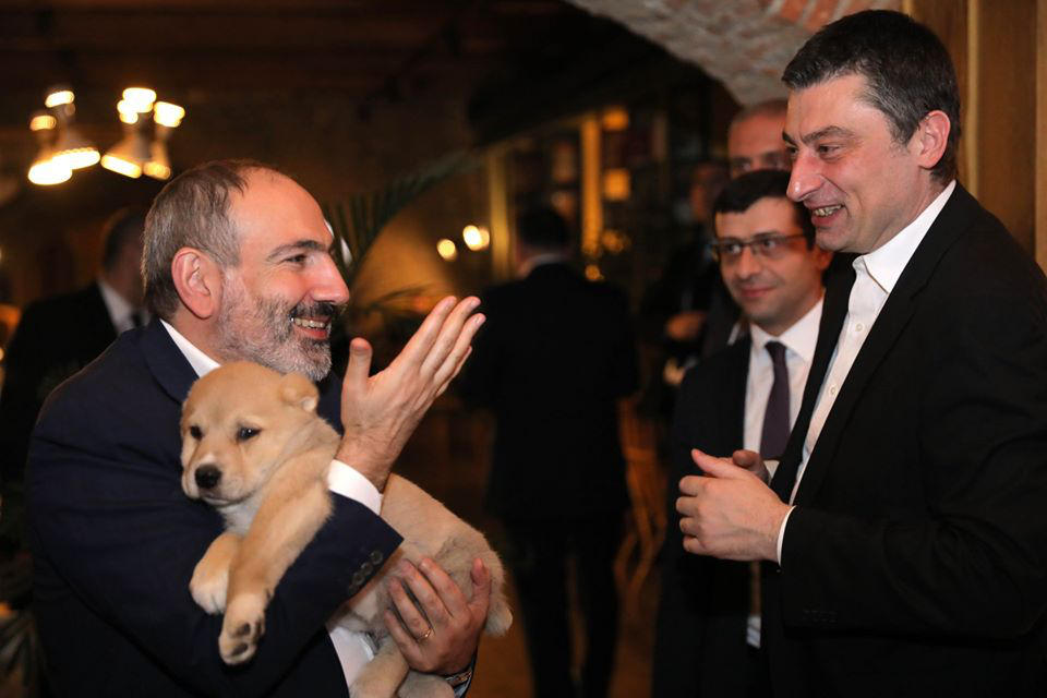 გიორგი გახარიამ ნიკოლ ფაშინიანს წმინდა კავკასიური ჯიშის მეცხვარე ძაღლი ...