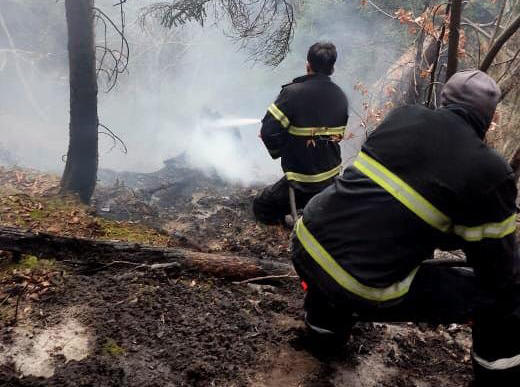 Firefighters have extinguished 5 forest and field fire outbreaks today