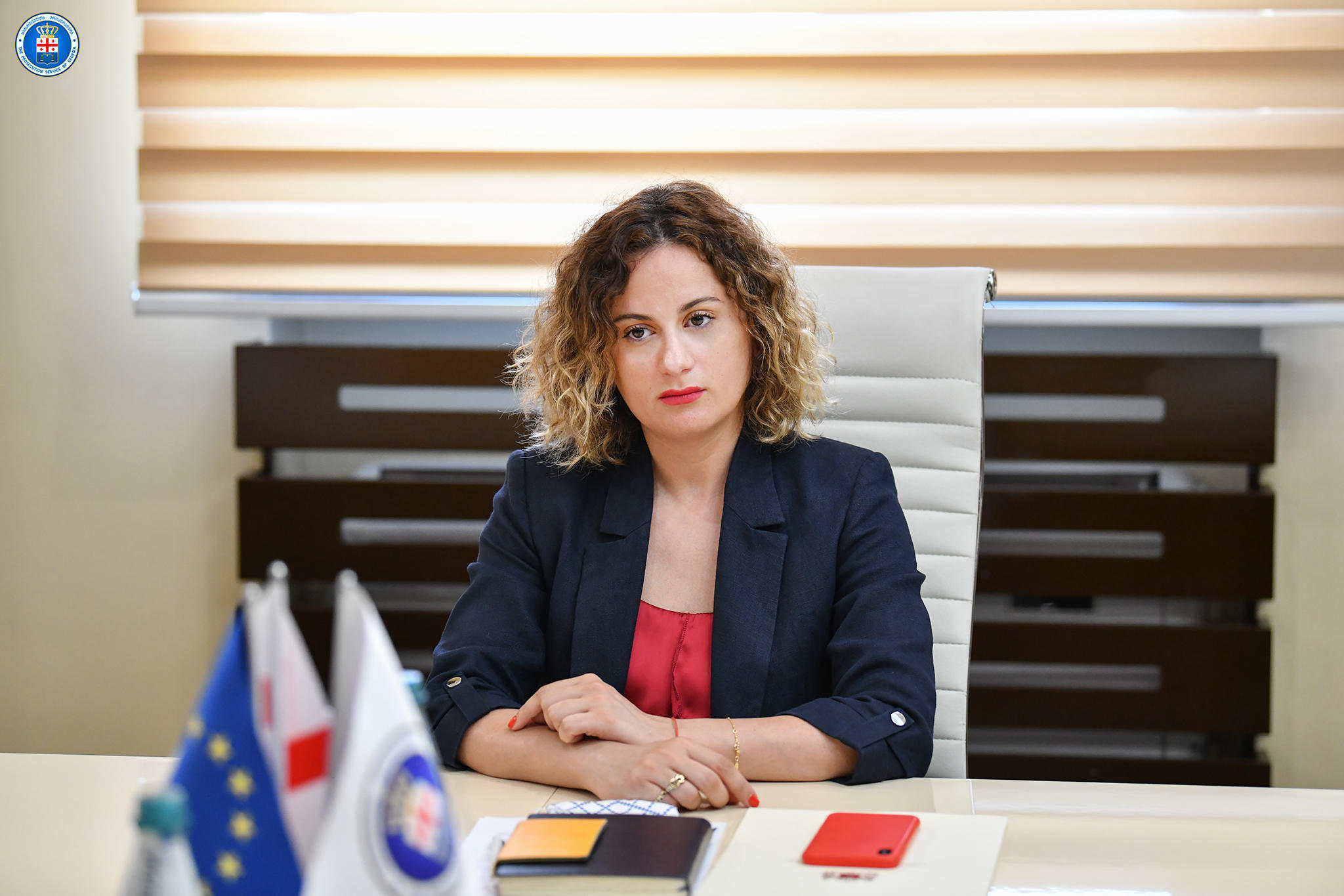 გენერალური პროკურორის მოადგილე ნათია მერებაშვილი ევროპის საბჭოს ...