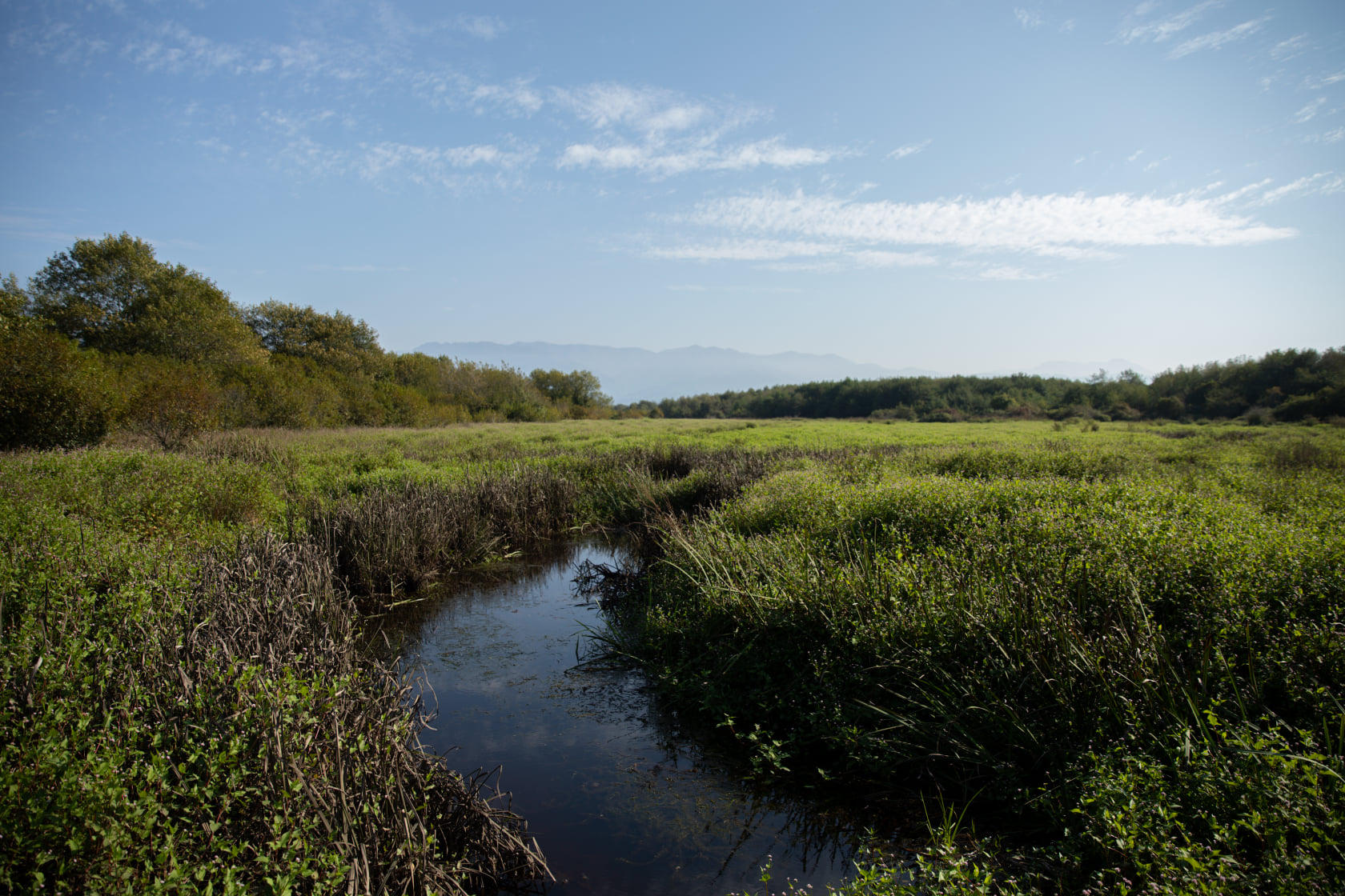 ქობულეთის დაცულ ტერიტორიაზე ტურისტული ინფრასტრუქტურის საპროექტო ...