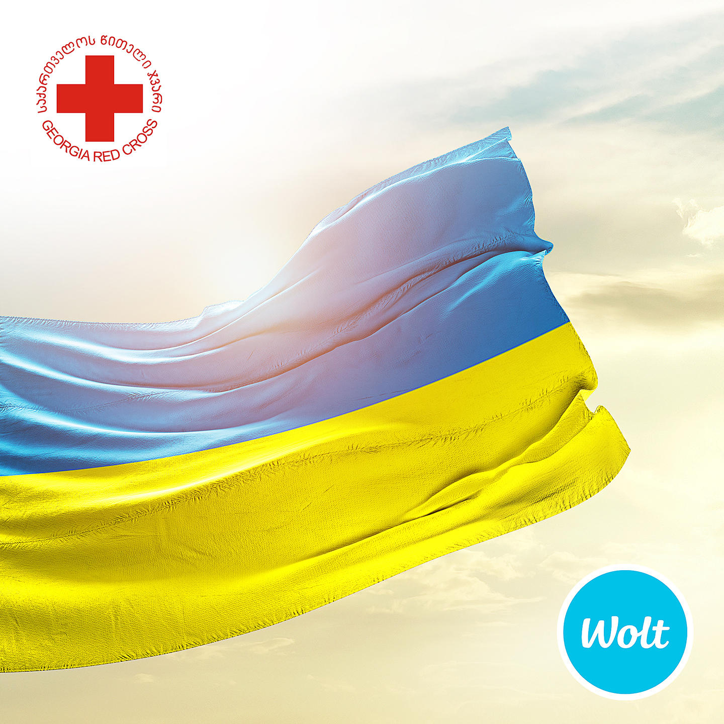 საქართველოს წითელი ჯვარი და „ვოლტი“ ერთობლივ კამპანიას იწყებენ