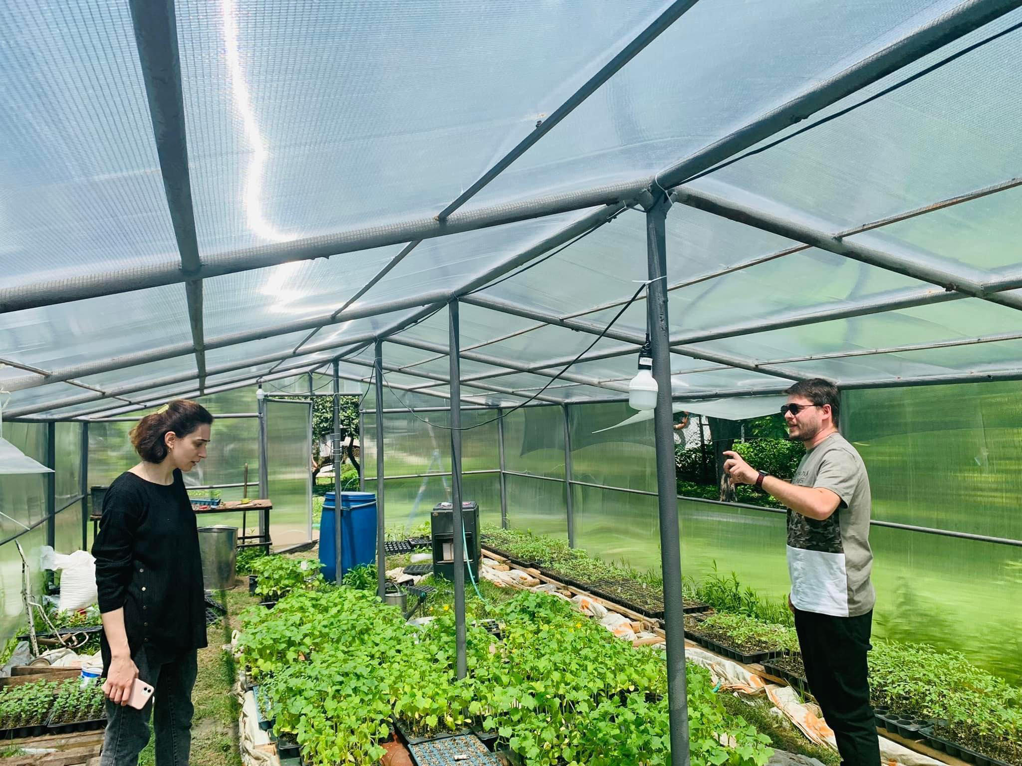 APM Terminals Poti supports setting up greenhouses in Poti APM Terminals Poti supports setting up greenhouses in Poti