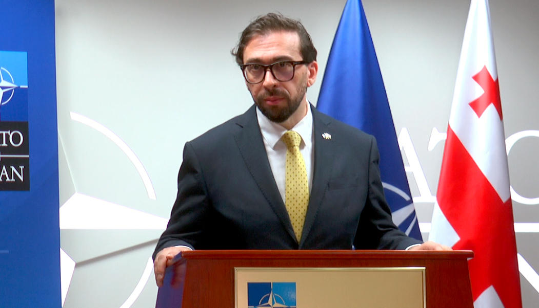 Head of NATO Liaison Office: We look forward to seeing Georgia progress ...