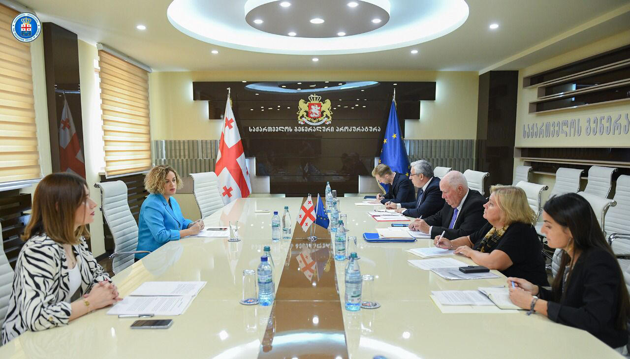 საქართველოს გენერალური პროკურორის მოადგილე ნათია მერებაშვილი ეუთო-ს ...