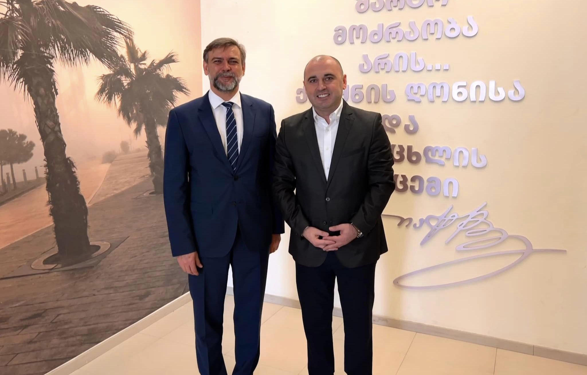 „ნაციონალური მოძრაობის“ თავმჯდომარე ლევან ხაბეიშვილი ჩეხეთის ელჩს