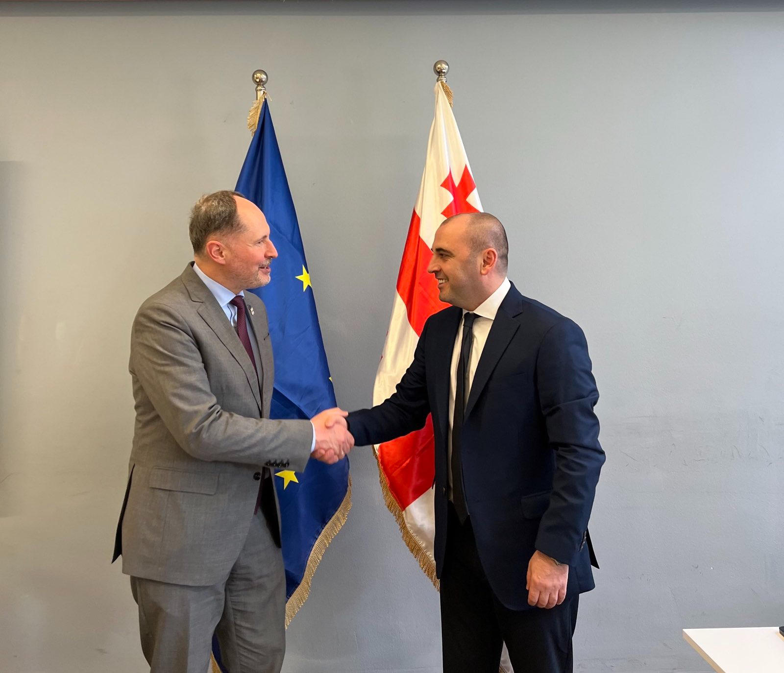 ლევან ხაბეიშვილი ევროკავშირის ელჩს შეხვდა