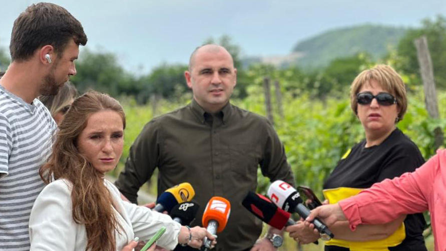 Levan Khabeishvili: The President talks, but does not act - if Salome ...
