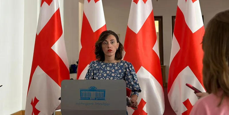 Ana Tsitlidze: The President's statements are another confirmation that ...