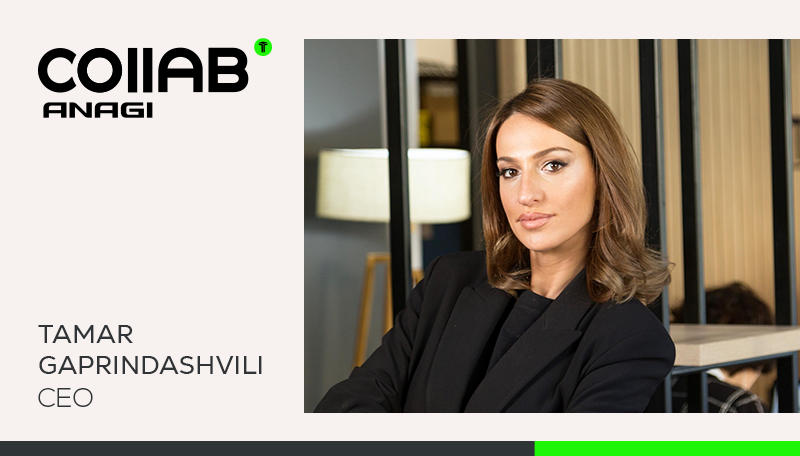 Anagi Collab, a leading provider of real estate development services ...