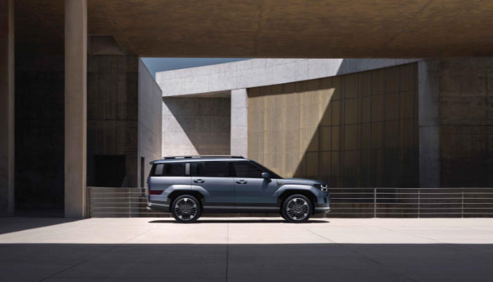 1-ელი ნოემბრიდან N306 მარშრუტზე 20 ერთეული 18-მეტრიანი ავტობუსი იმოძრავებს